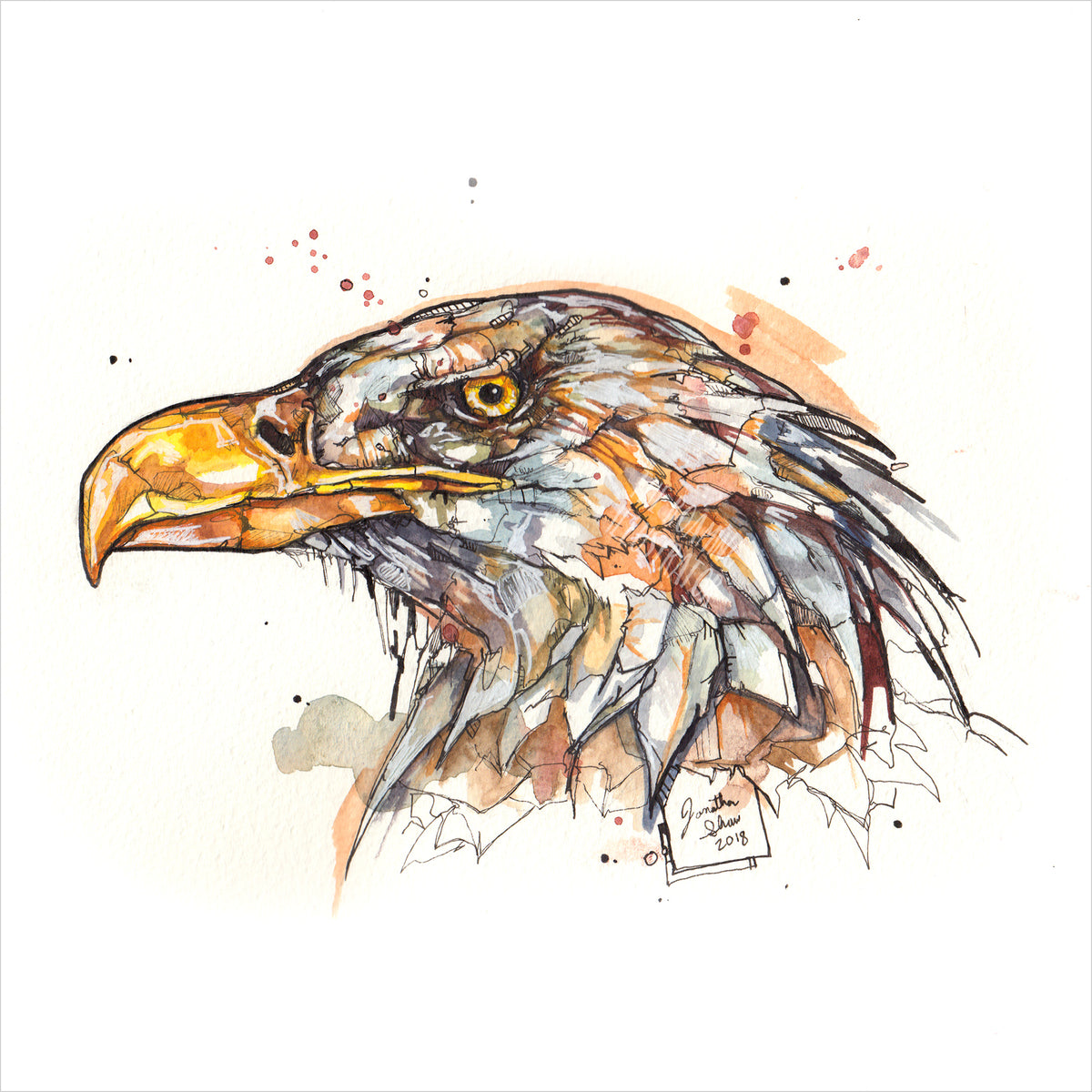 Eagle – The Roaming Illustrator